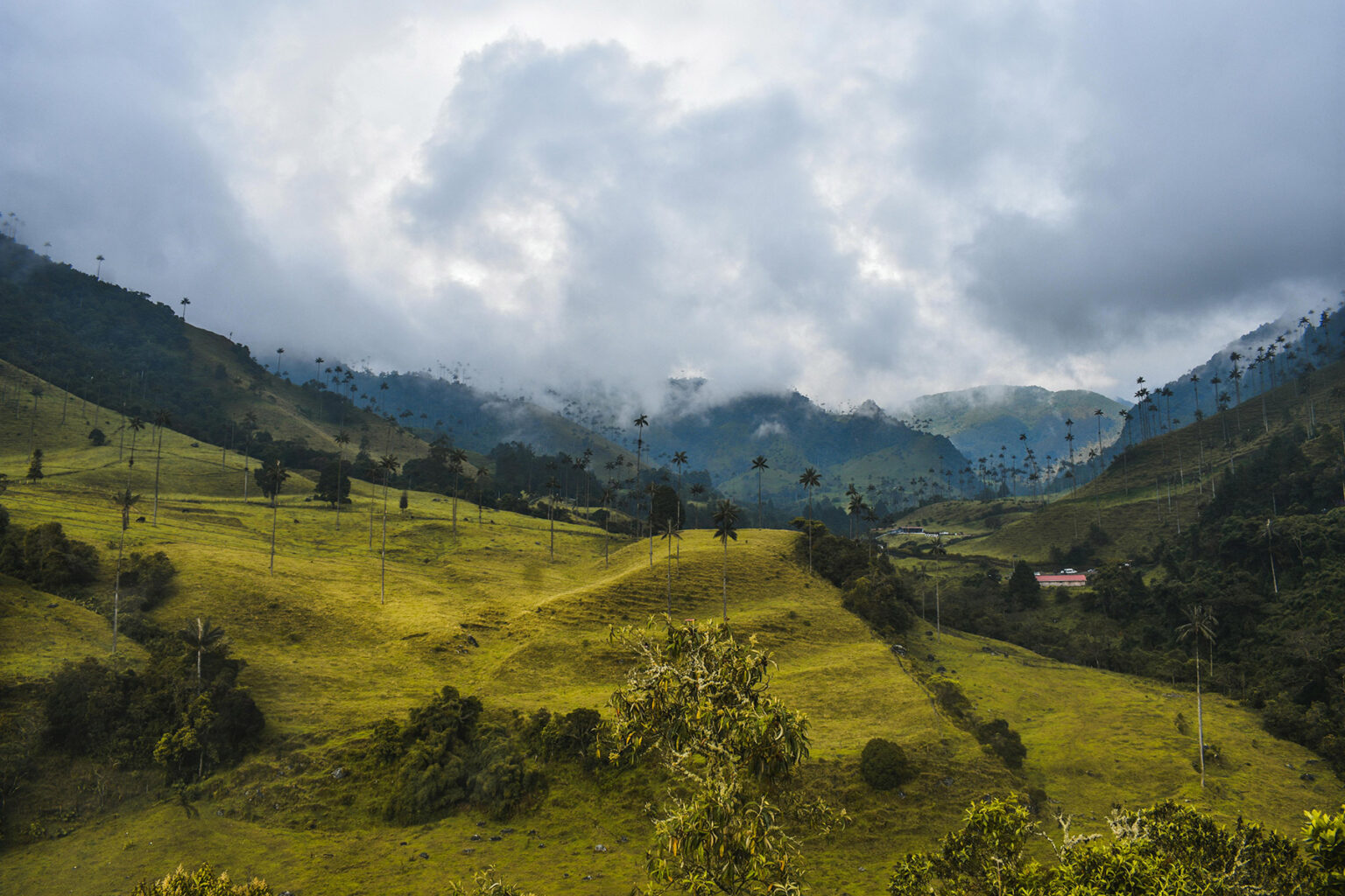 Programs - Mercer On Mission