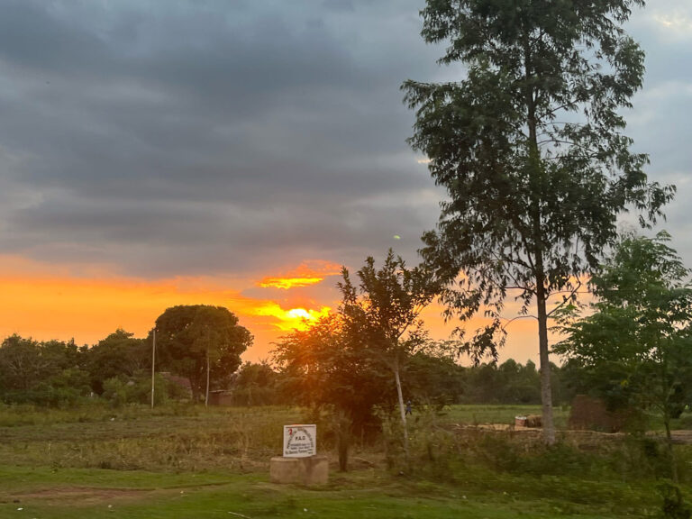 Programs - Mercer On Mission